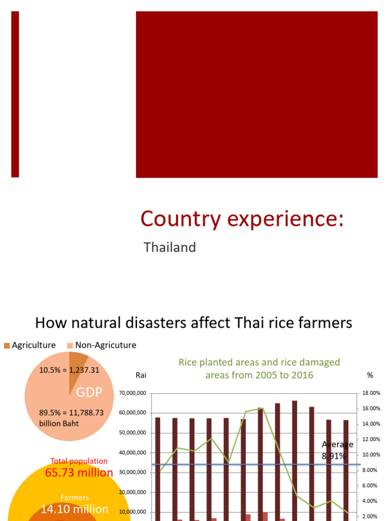 cf9 Session 1 Thailands National Rice Insurance Scheme | PDF ...