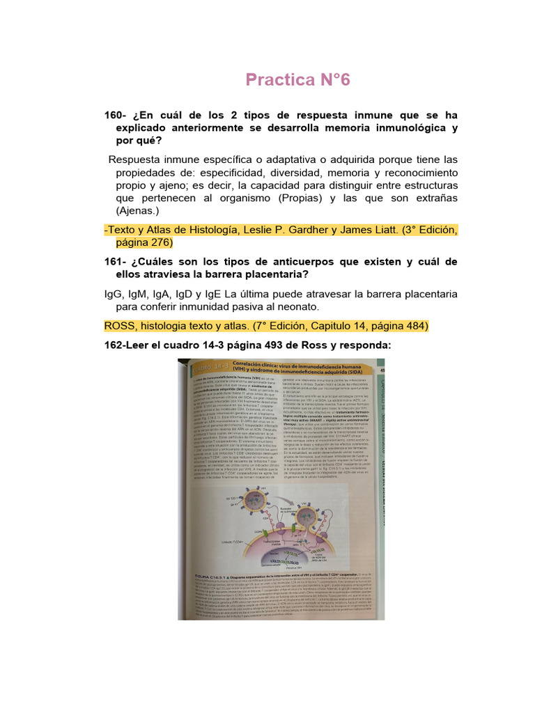 Practica N°6 | PDF | Ganglio linfático | Sistema linfático