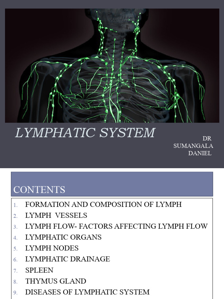 BSC - Lymphatic System | PDF | Lymphatic System | Immune System