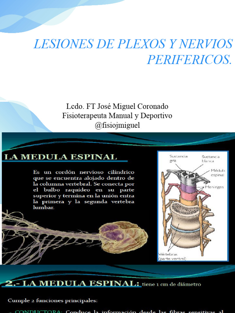 Clase Plexos y Lesiones | PDF