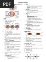 Common Ophthalmic Terminology Glossary | PDF | Eye | Human Eye