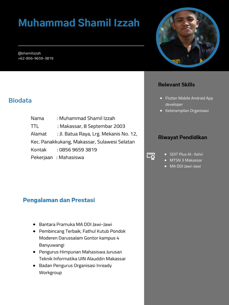 Blue Light Blue Color Blocks Physician CV | PDF