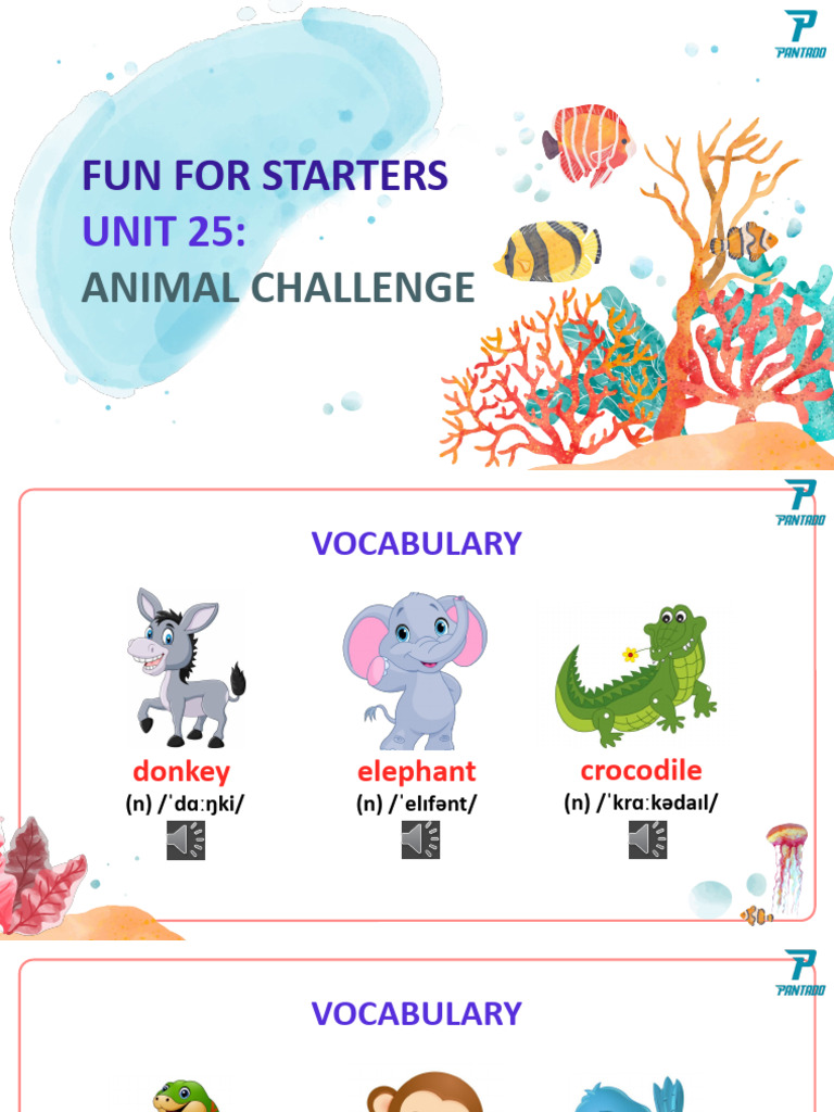 Ffs - Unit 25 - Animal Challenge | PDF | Zoology