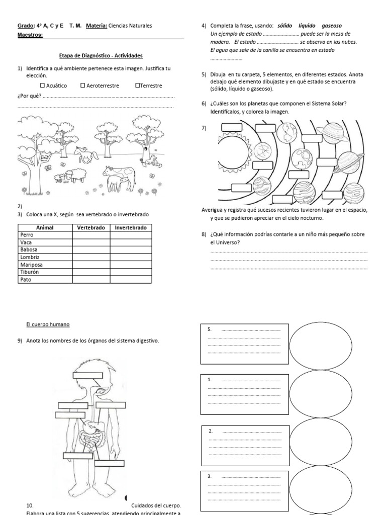 EVAL 4to Diag | PDF | Naturaleza