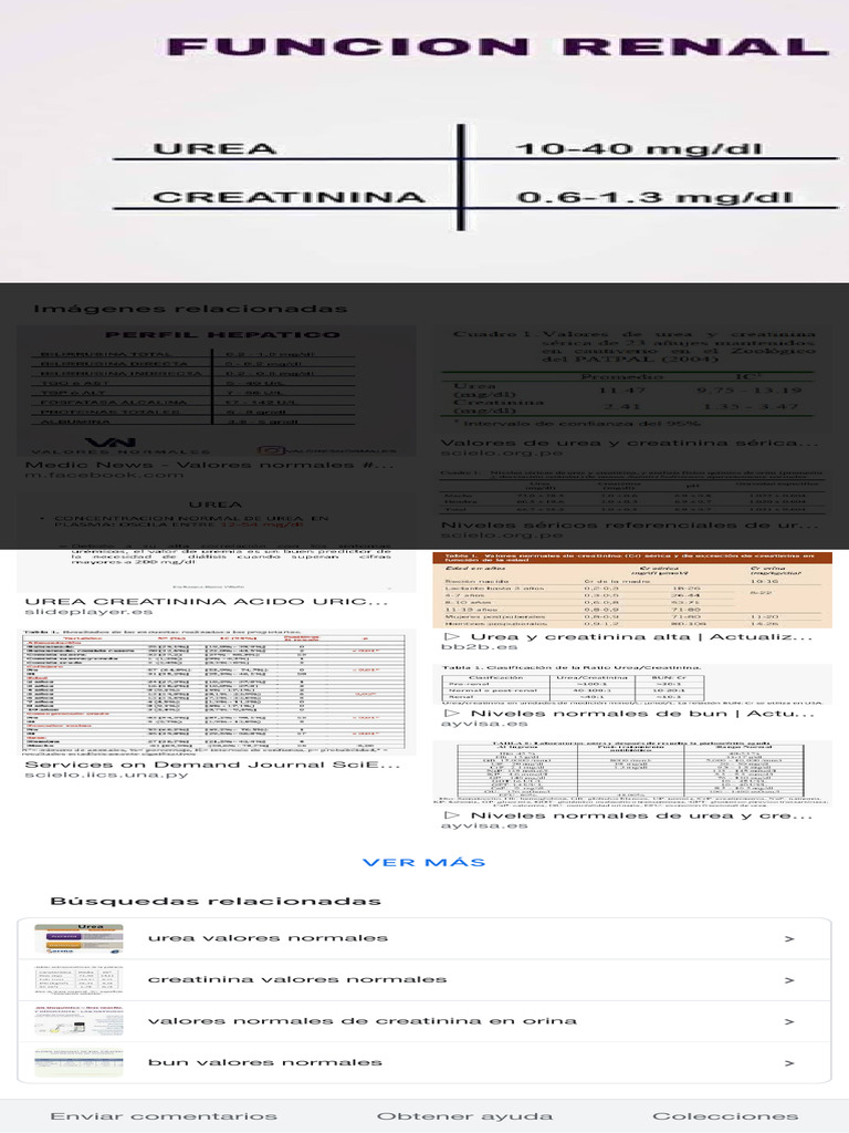 Valores Normales de Urea y Creatinina - Búsqueda de Google | PDF