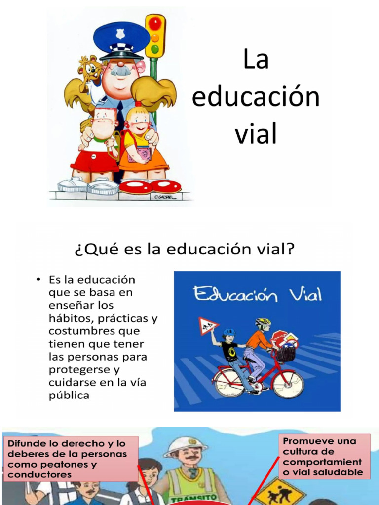 Normas de Seguridad Vial para Niños | PDF | Negocios