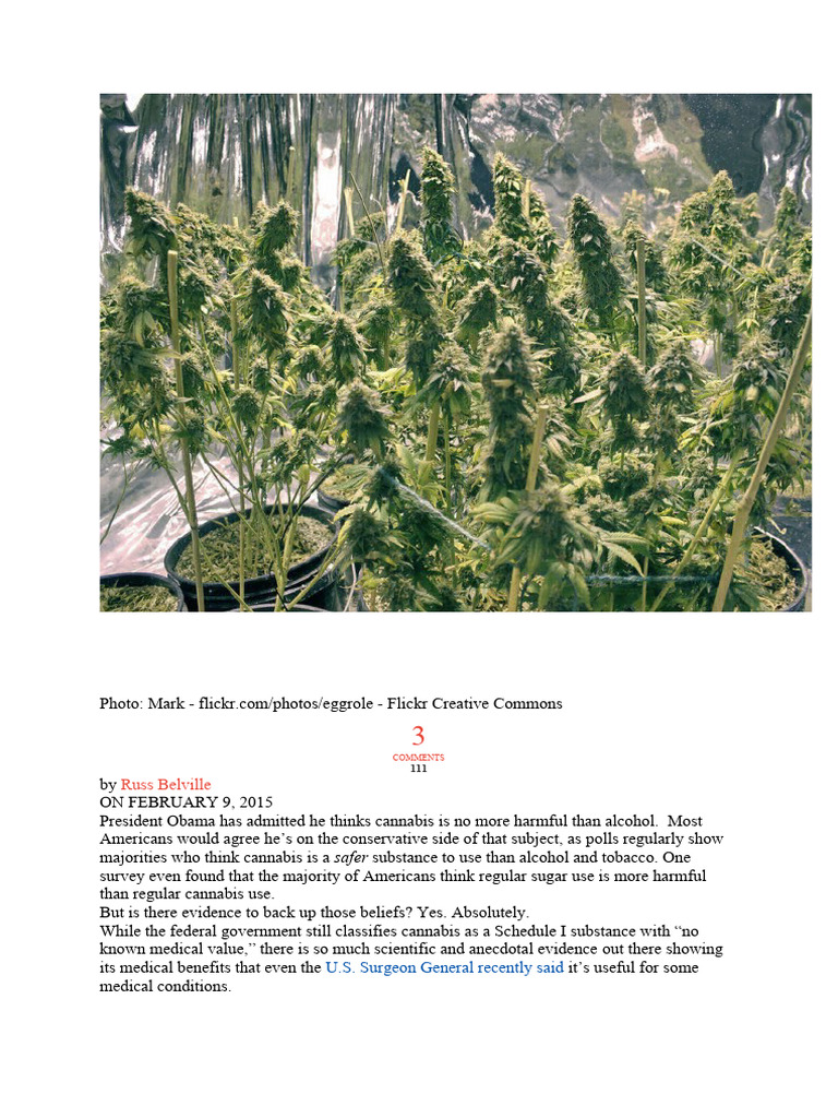 3 New Studies Showing Health Positives of Cannabis | PDF | Cannabis ...