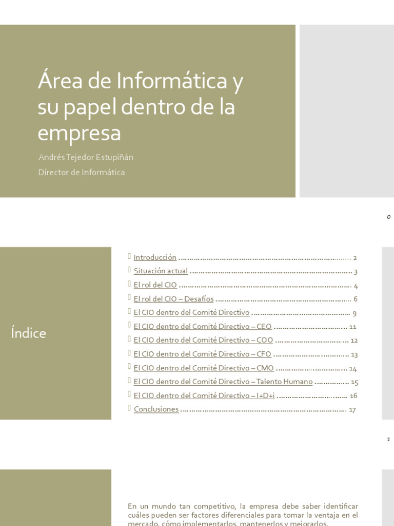 Presentacion Area Informatica | Download Free PDF | Business | Informática