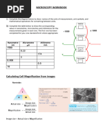 Cell Magnification Calculations Guide | PDF | Cell (Biology) | Cell Biology