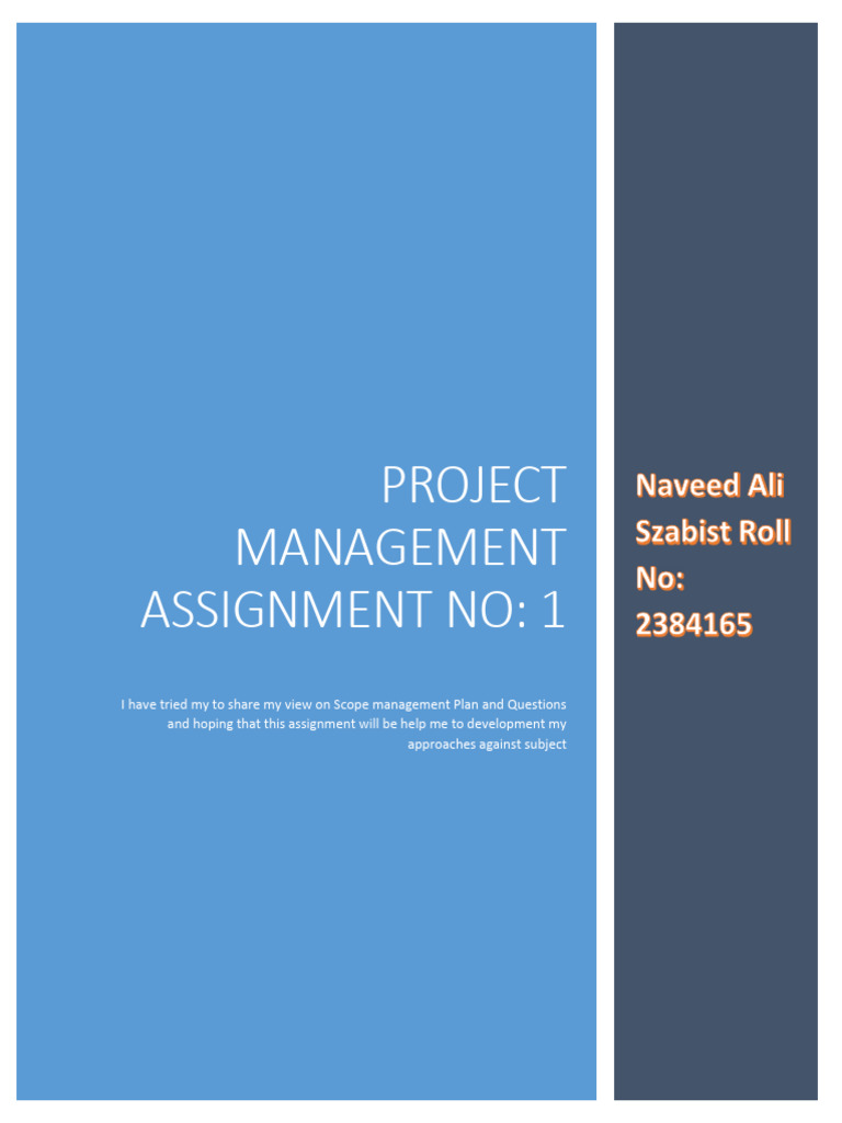 Project Scope Management for App Launch | PDF | Social Media | Popular ...