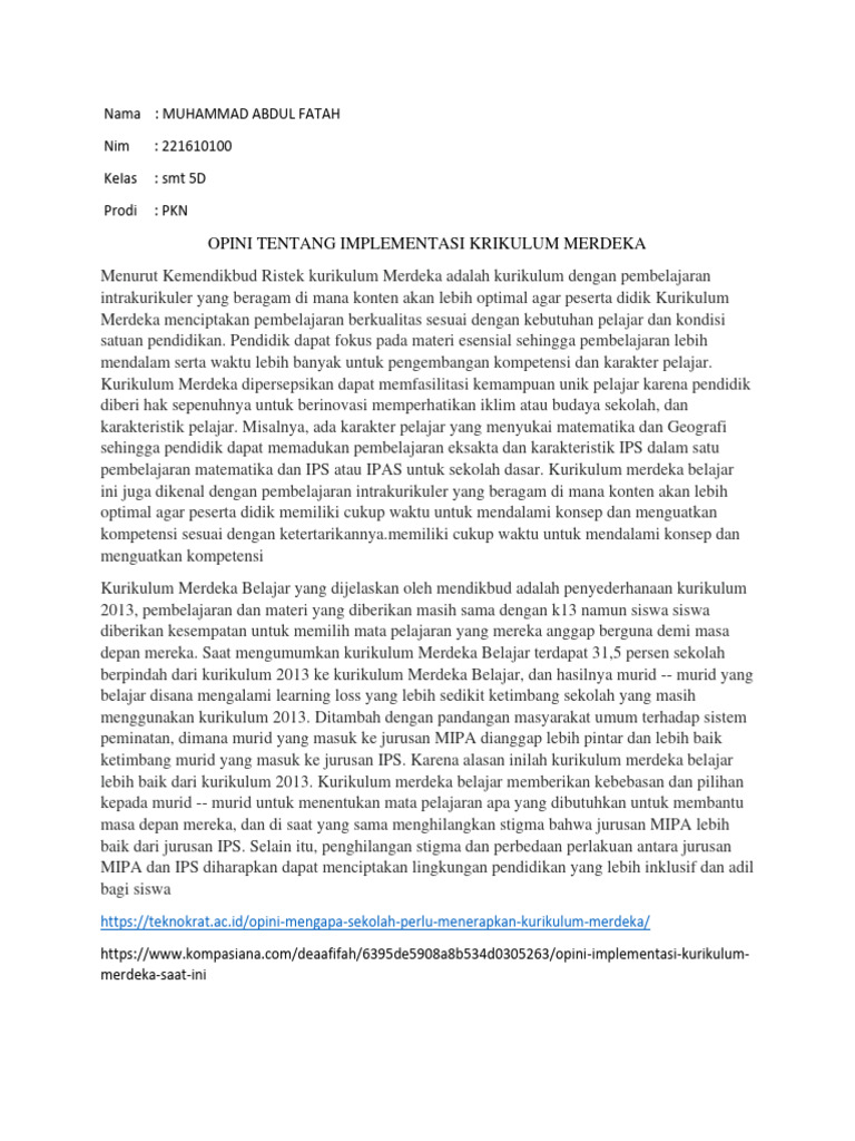 Opini IKM Bu Tina | PDF