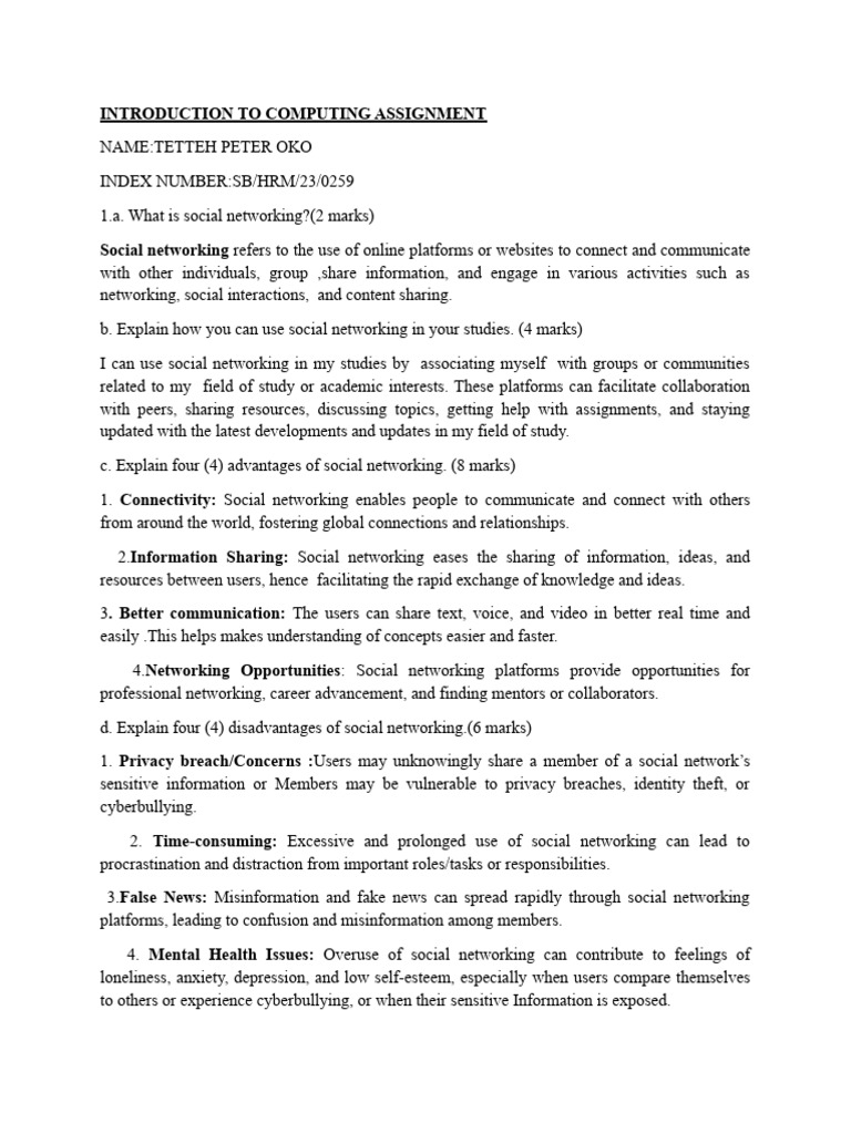 Introduction To Computing Assignment | PDF | Laptop | Computer Data Storage