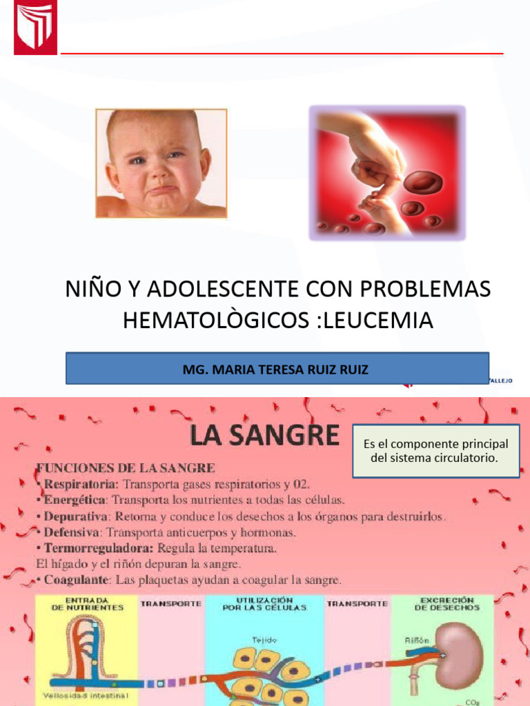 Enf Hematologicas Leucemia | Descargar gratis PDF | Sangre | Leucemia