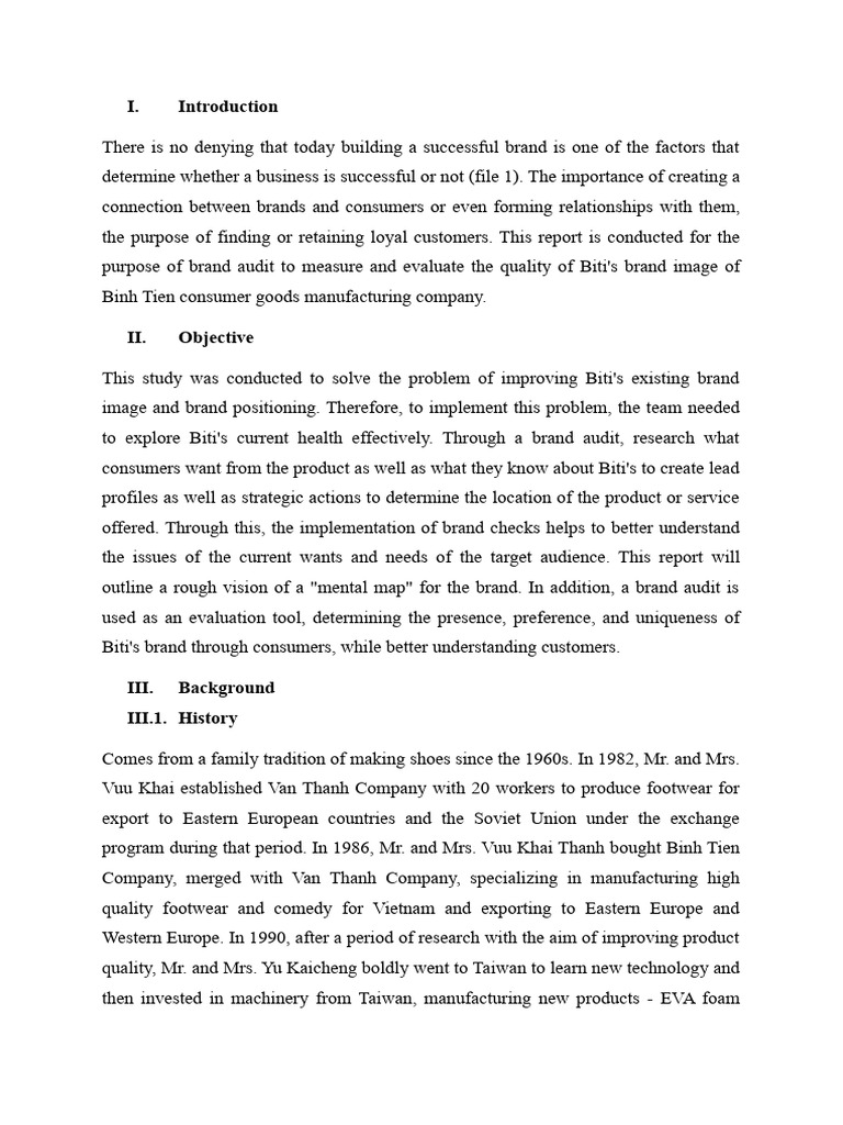 BItis-introduction | PDF | Brand | Target Audience