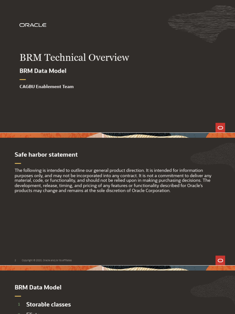 Technical Overview 04 - BRM Data Model | PDF | Databases | Data Type