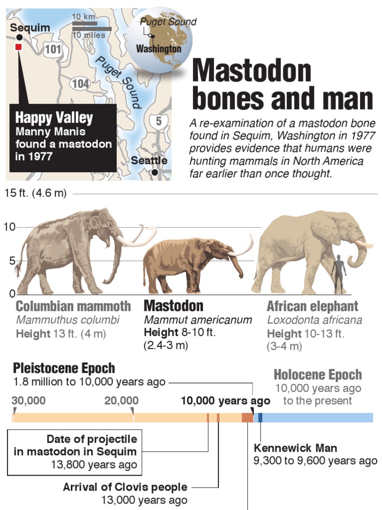 Comparing Mammoth, Mastodon and Elephant