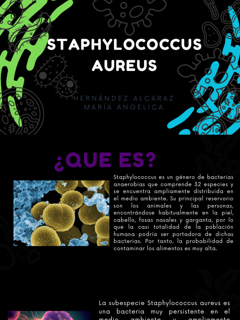 Staphylococcus Aureus | PDF | Staphylococcus Aureus | Especialidades Medicas