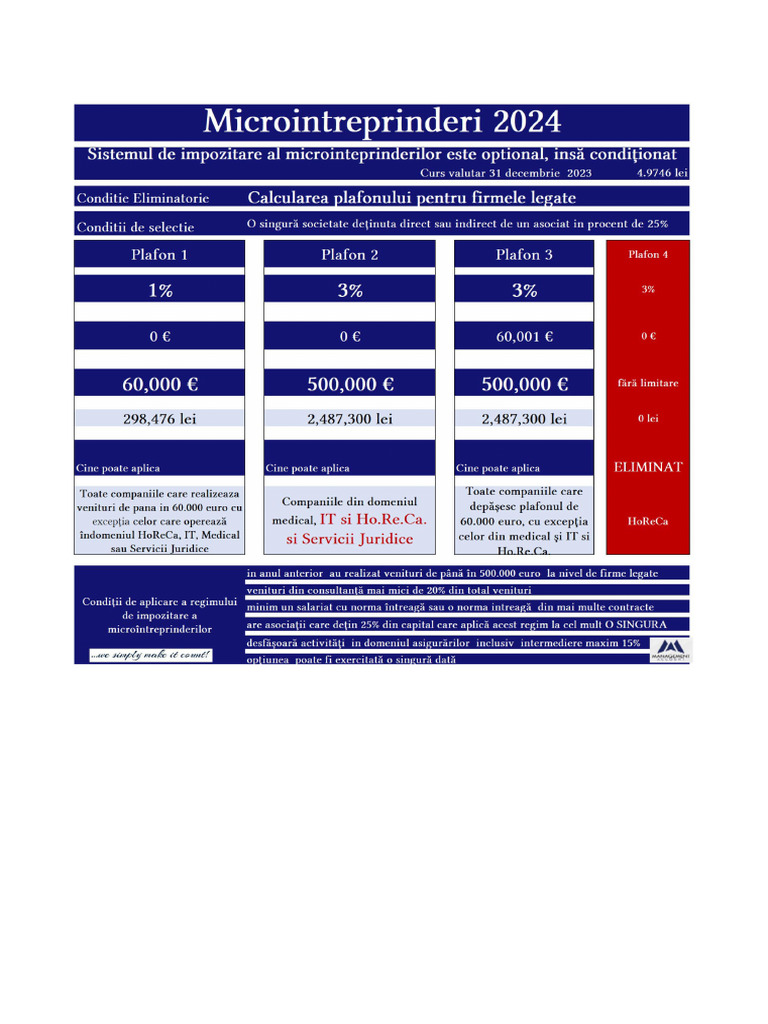 MicroIntreprinderi 2024 | PDF