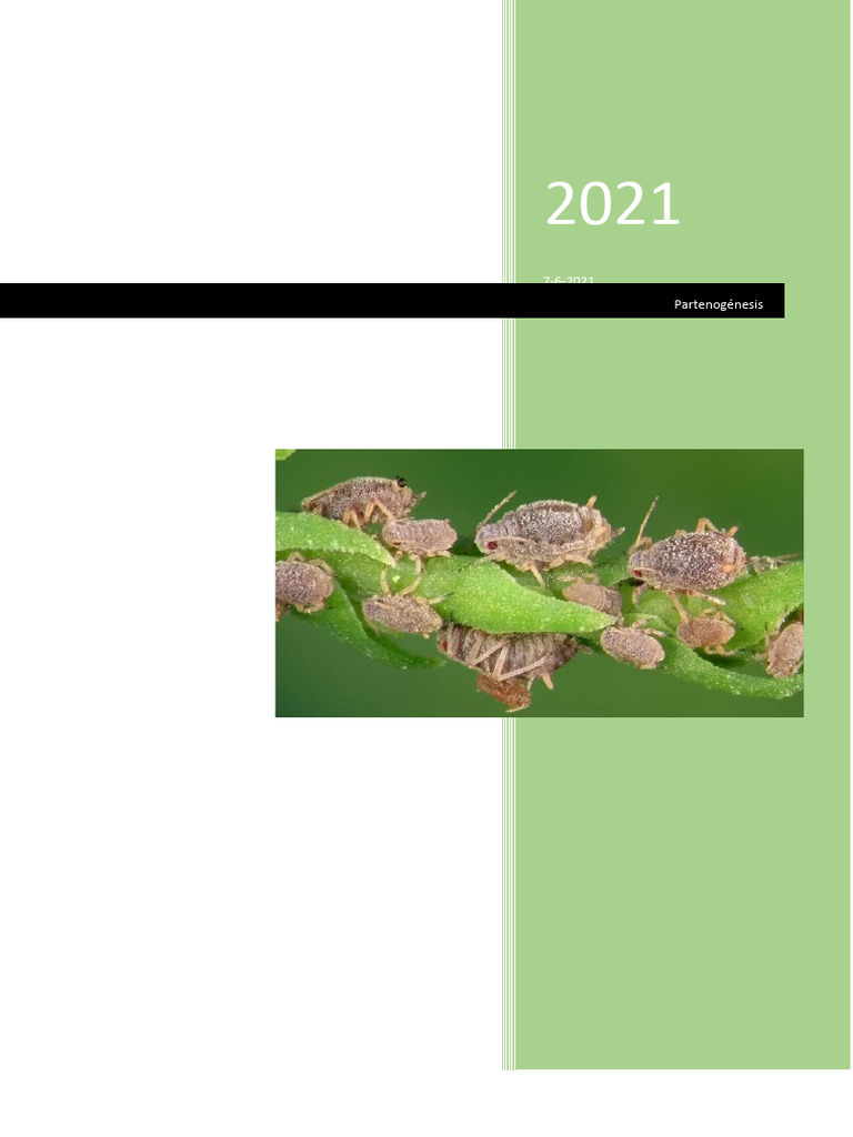 Qué Es La Partenogénesis | PDF