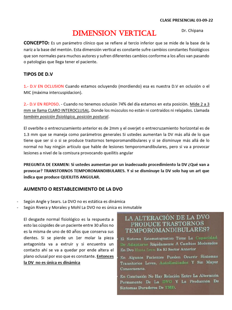 Dimensión Vertical en Odontología | PDF | Articulación | Odontología
