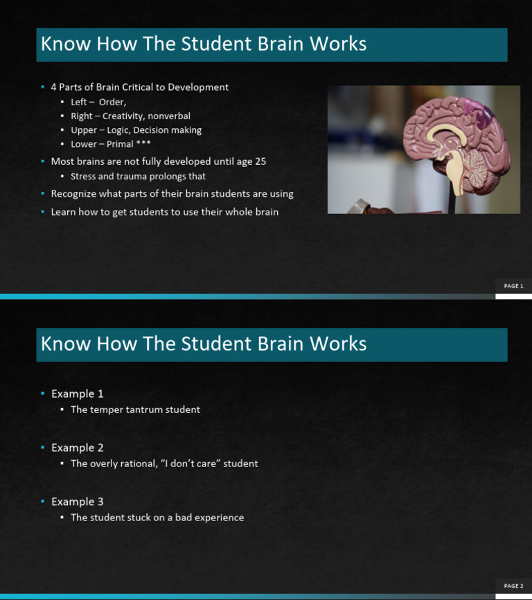 Understanding Brains | PDF