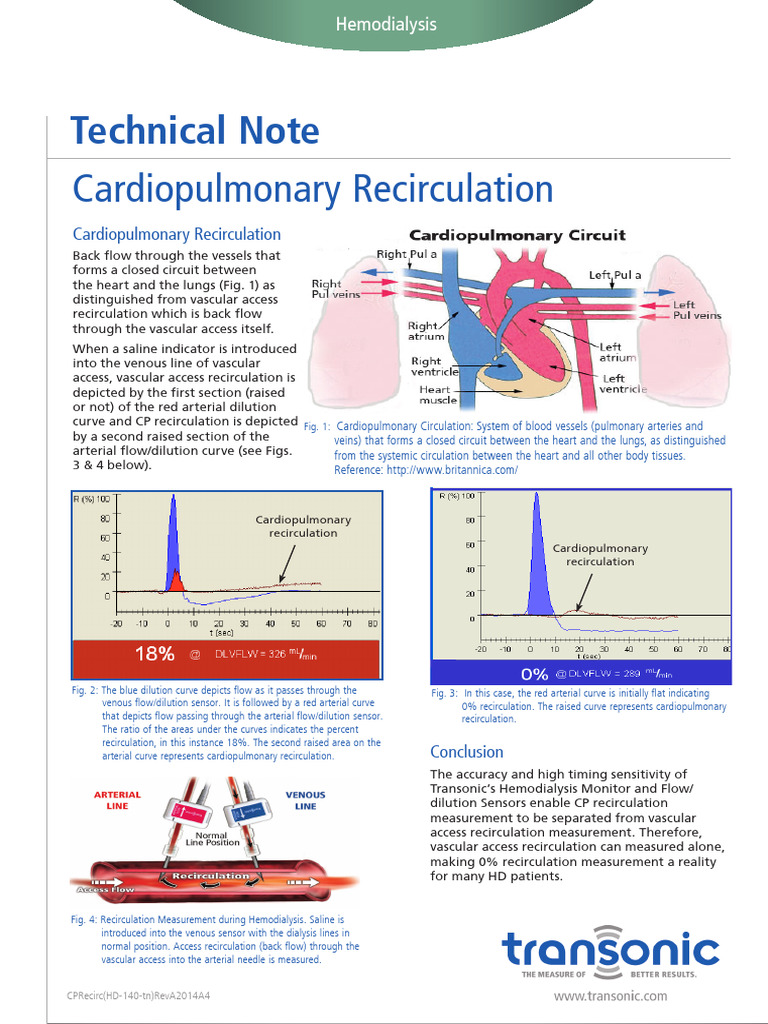 CP Recirculation (HD-140-tn-A4) | PDF | Blood Vessel | Vein