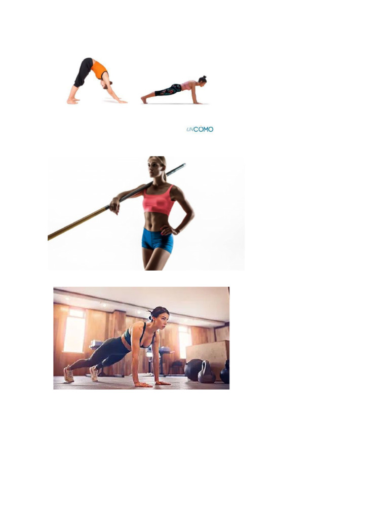 gym | PDF