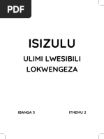 IsiZulu Lesson Plan | PDF