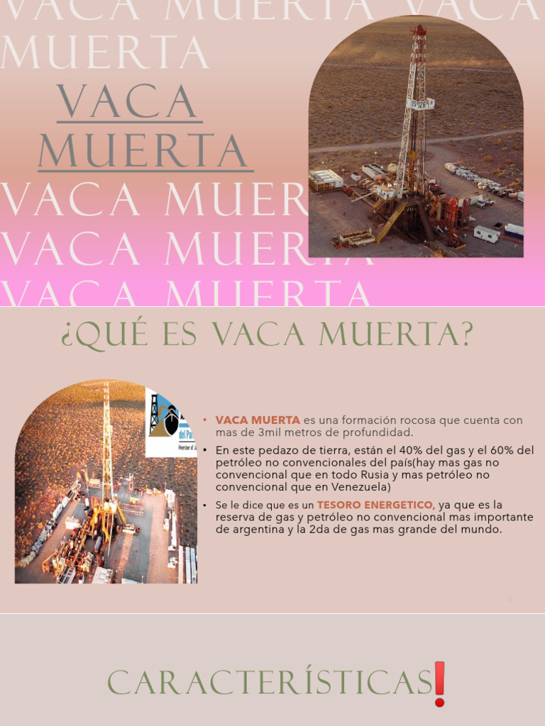 Vaca Muerta: Tesoro Energético de Argentina | PDF | Naturaleza