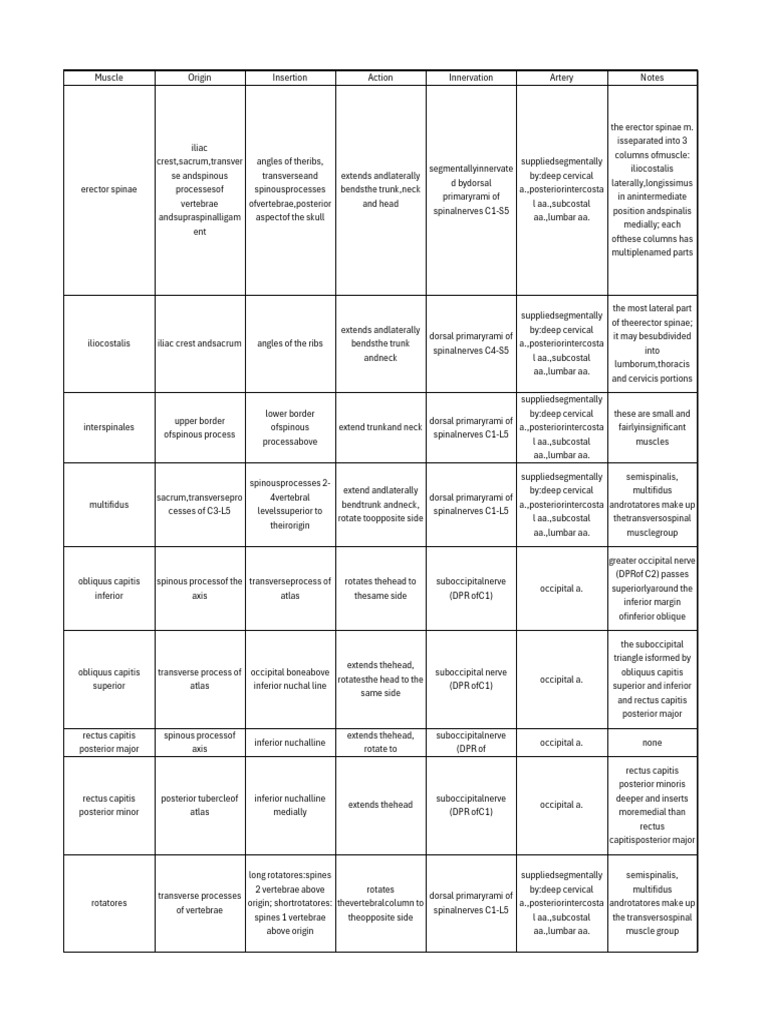 Muscles of Anatomy Chart | PDF | Arm | Vertebra