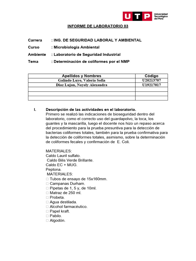 Semana 04 INFORME LAB 33 | PDF | Microbiología