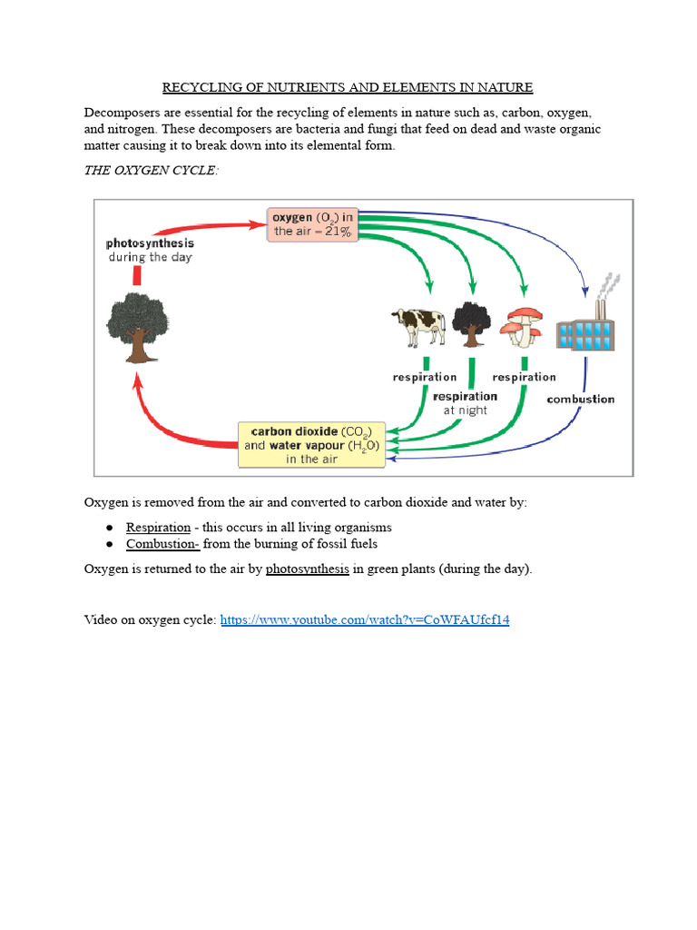 Recycling of Elements in Nature | PDF | Nitrogen | Soil