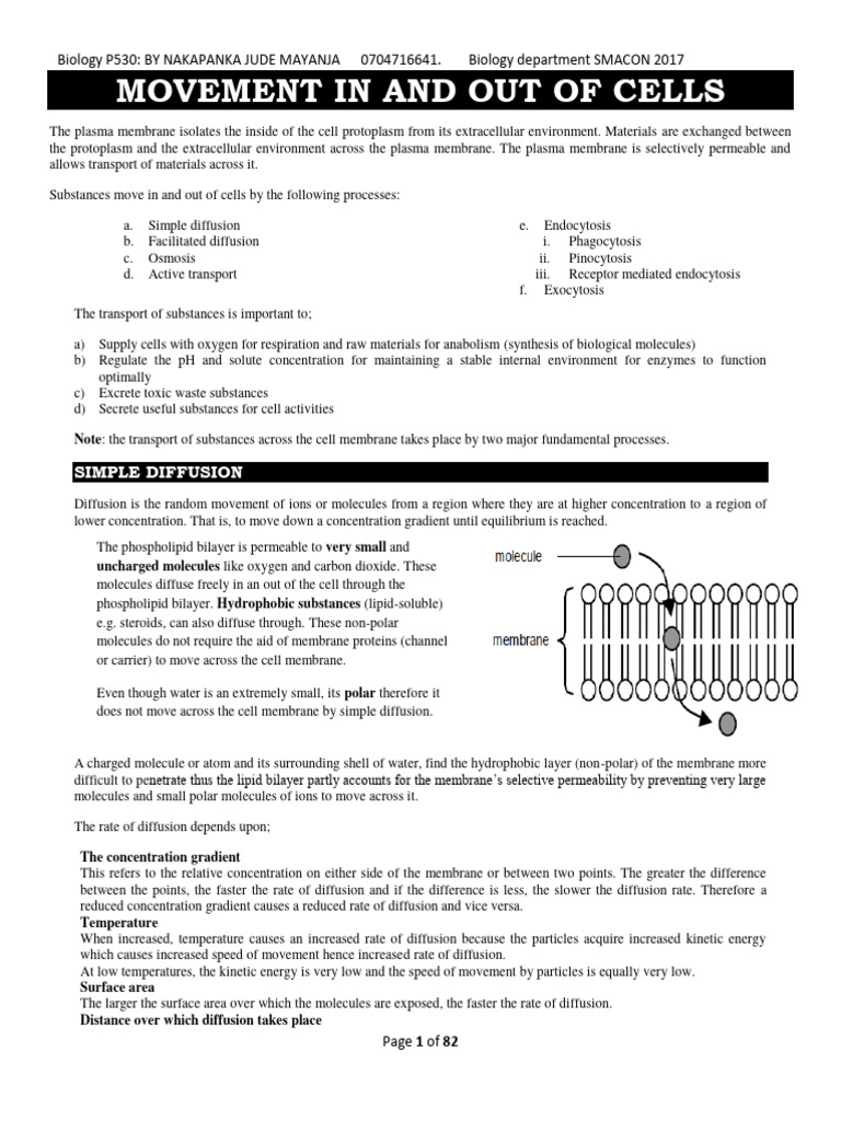 A-level Biology Transport Notes | PDF | Cell Membrane | Diffusion