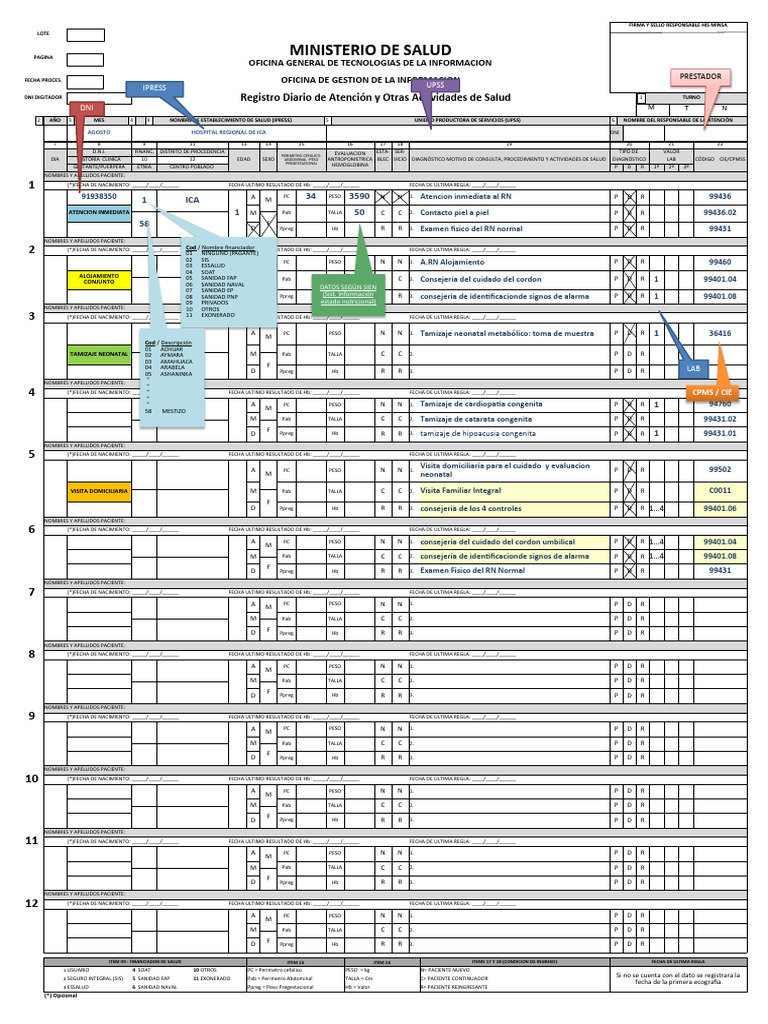 Neooo Formato His 2023 v1 (Abril 2023) | PDF | Especialidades Medicas | Medicina CLINICA