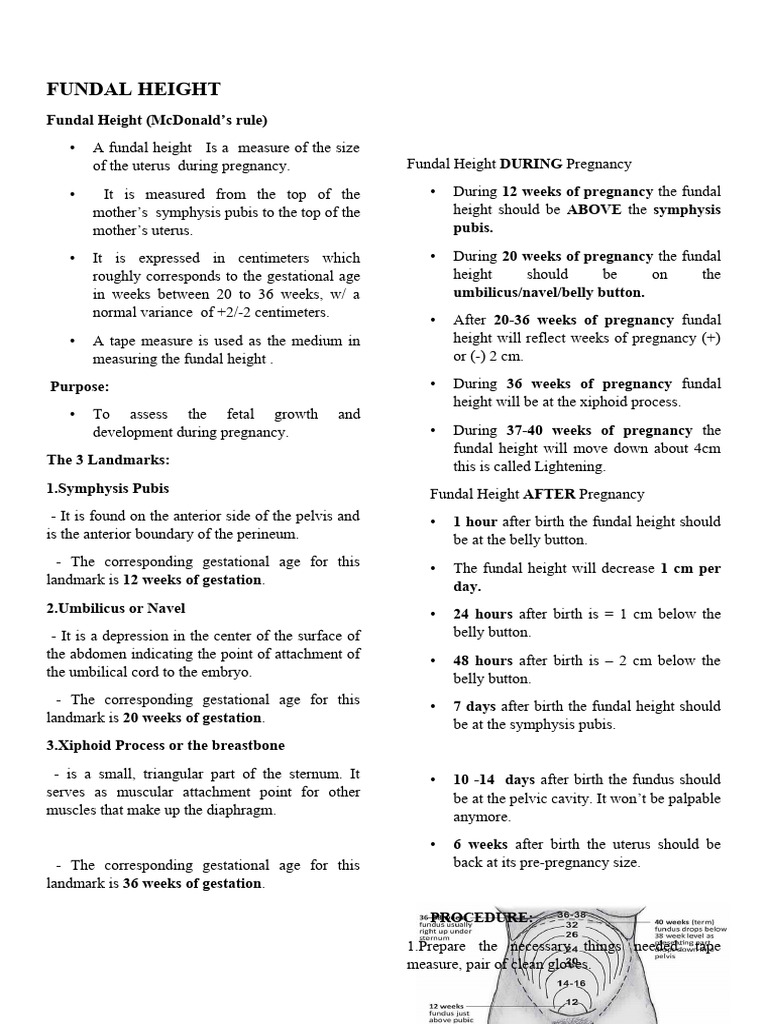 FUNDAL HEIGHT, LEOPOLDS,FHR RETDEMdocx | PDF | Abdomen | Uterus