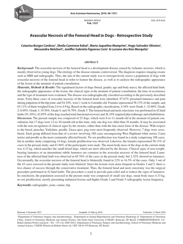 Avascular Necrosis of The Femoral Head in Dogs - R | PDF | Hip ...