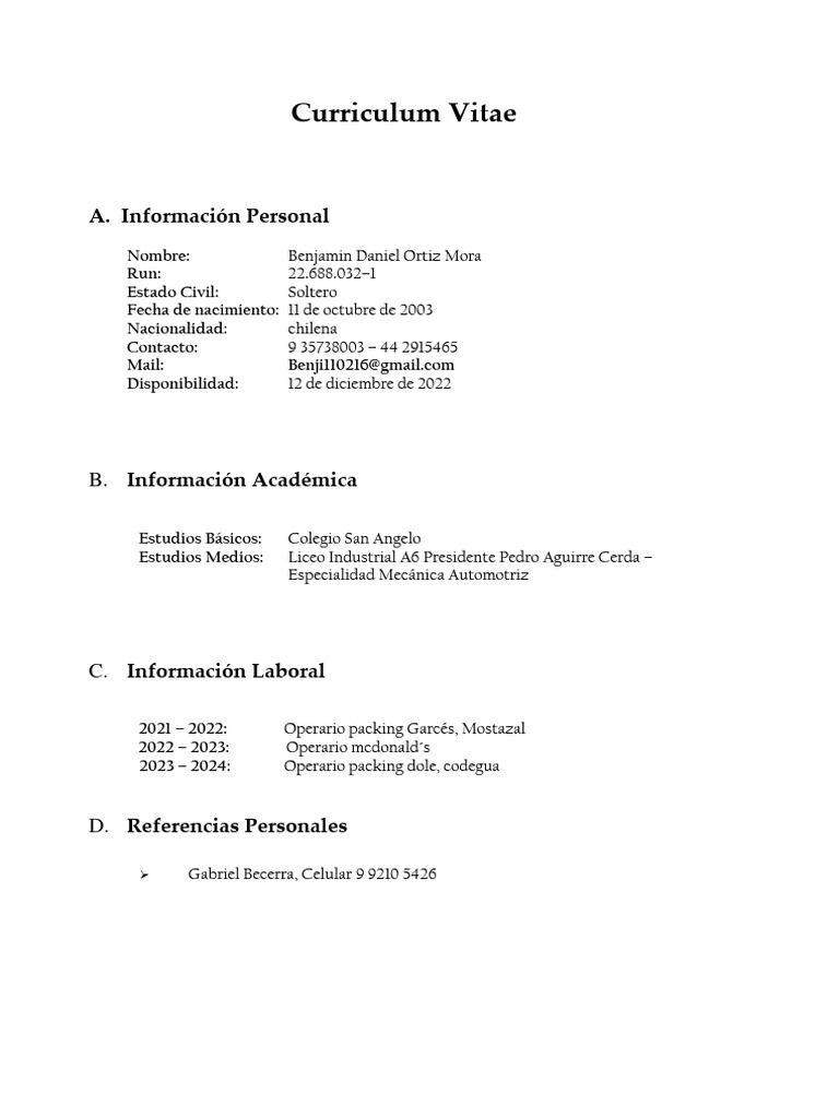 Curriculum Vitae Benjamin Ortiz | PDF