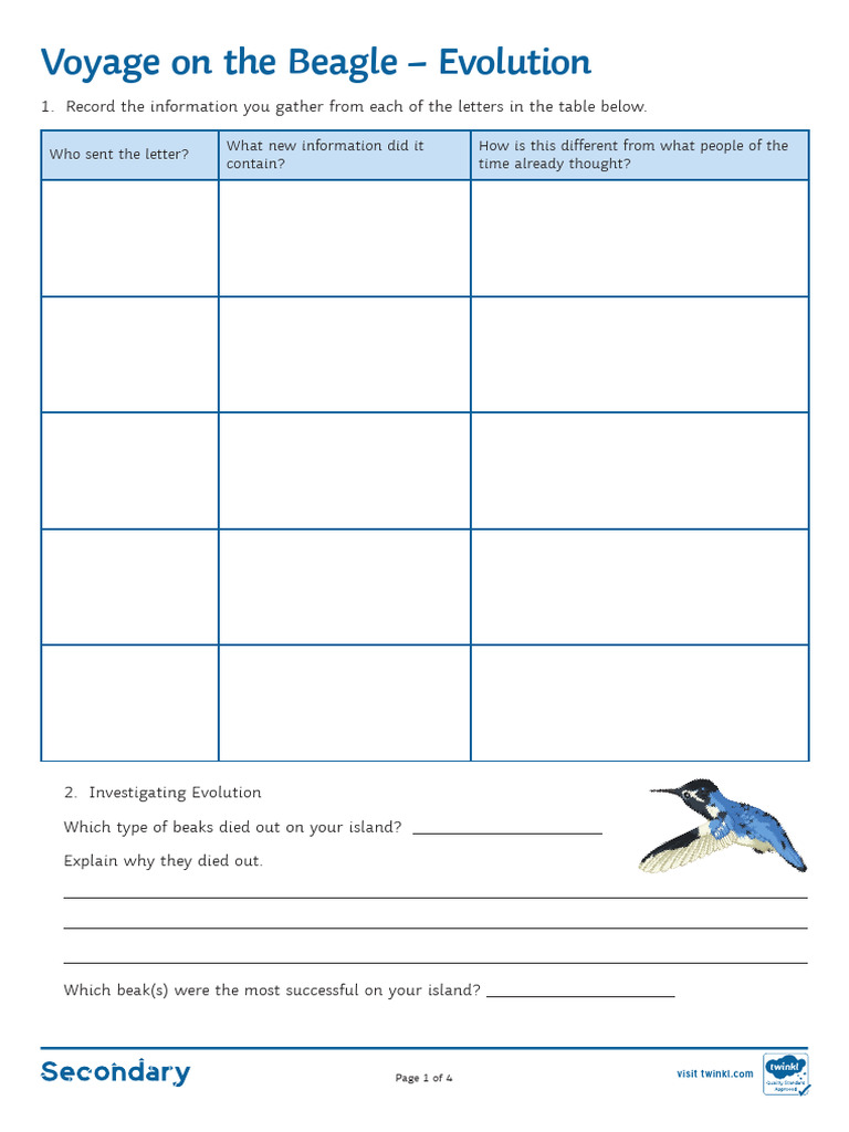 Evolution Activity Sheet | PDF | Evolution | Reproduction