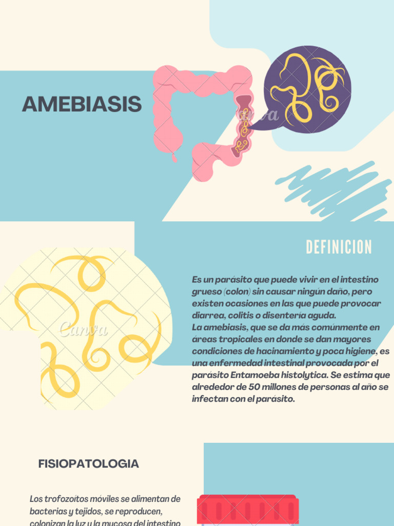 Amebiasis | PDF | Heces | Especialidades Medicas