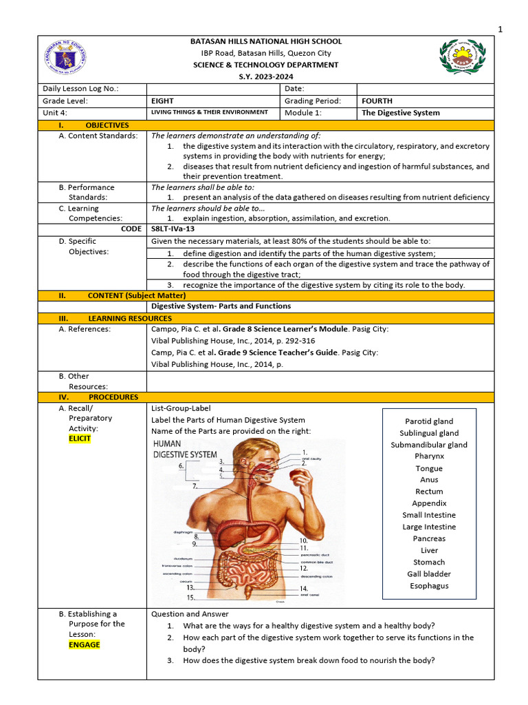 Digestive System: Parts & Functions for Grade 8 | PDF ...