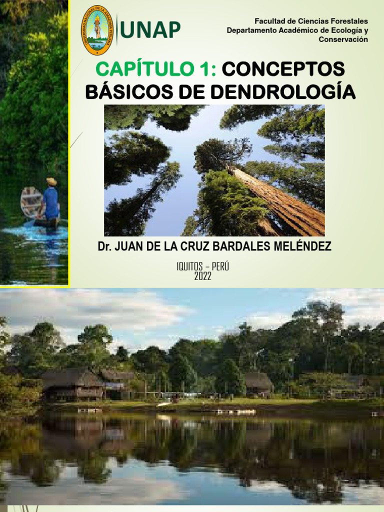 1 Conceptos Básicos de Dendrología | PDF | Los bosques | Botánica
