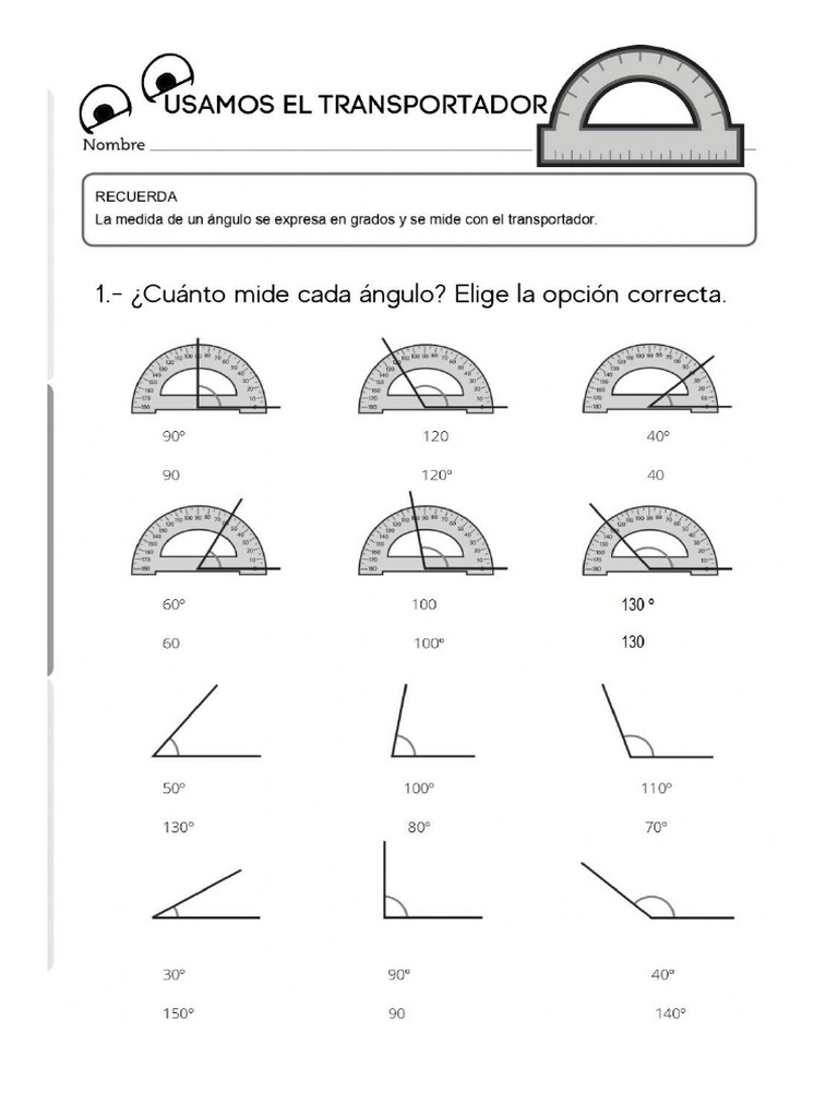 Uso Del Transportador | PDF