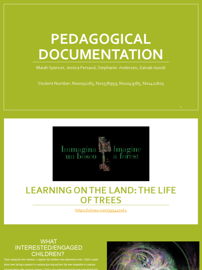 Pedagogical Documentation Assignment | PDF | Life | Nature