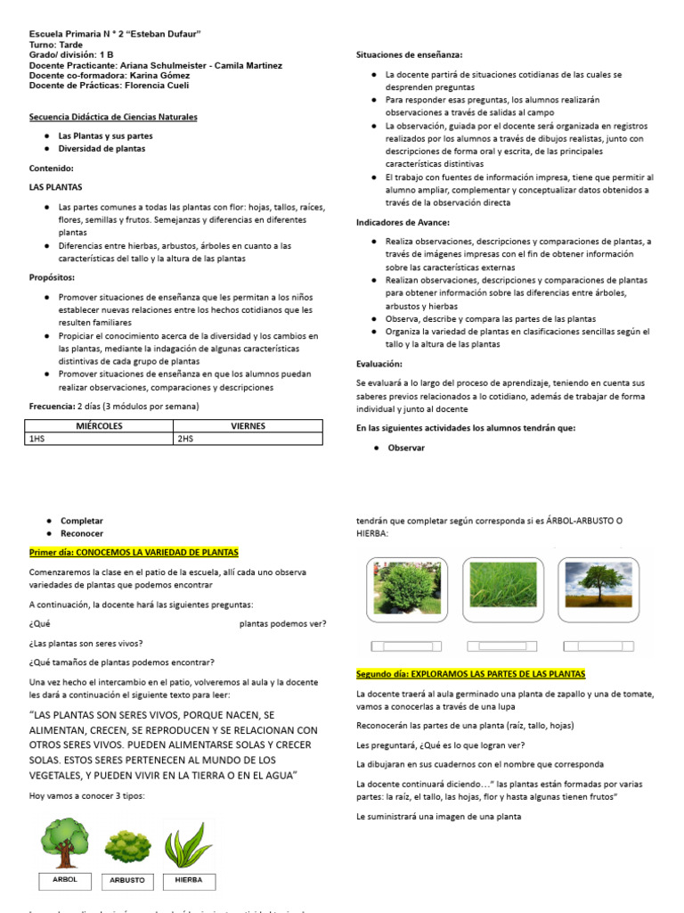 Secuencia Didáctica de Ciencias Naturales | PDF | Plantas | Enseñando