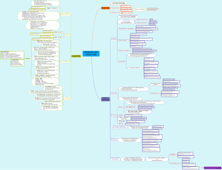 Understanding Pronouns and Quantifiers | PDF | Grammatical Number | Pronoun