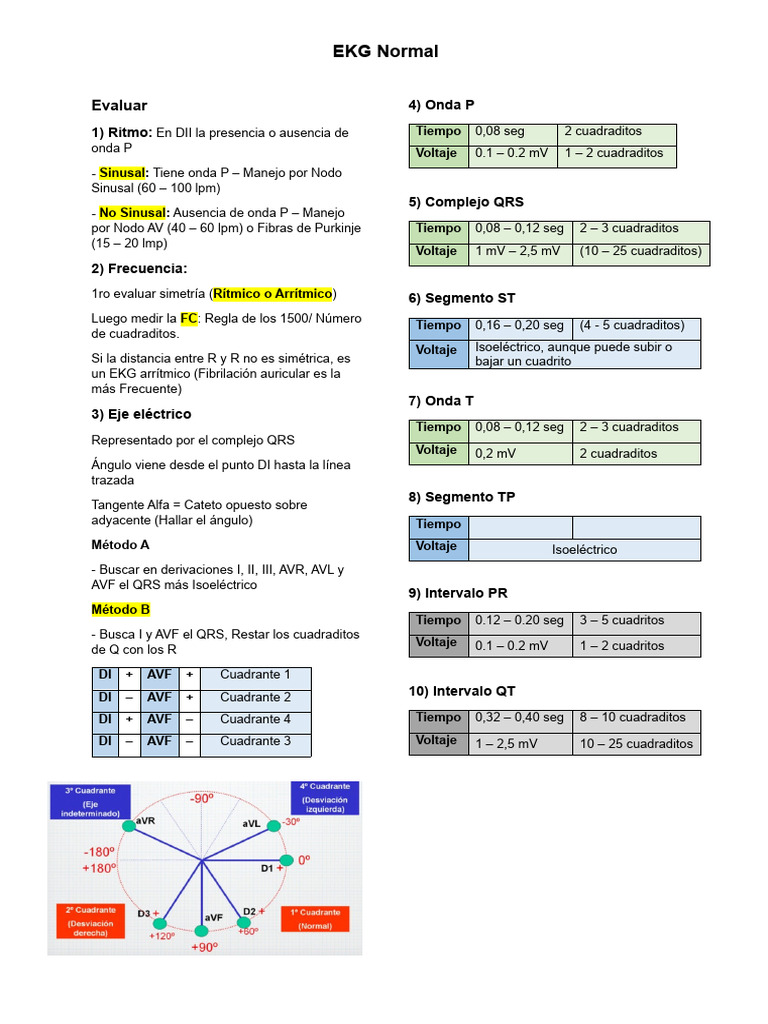 Ekg Normal y Patológico | PDF | Electrocardiografia | Fisiología