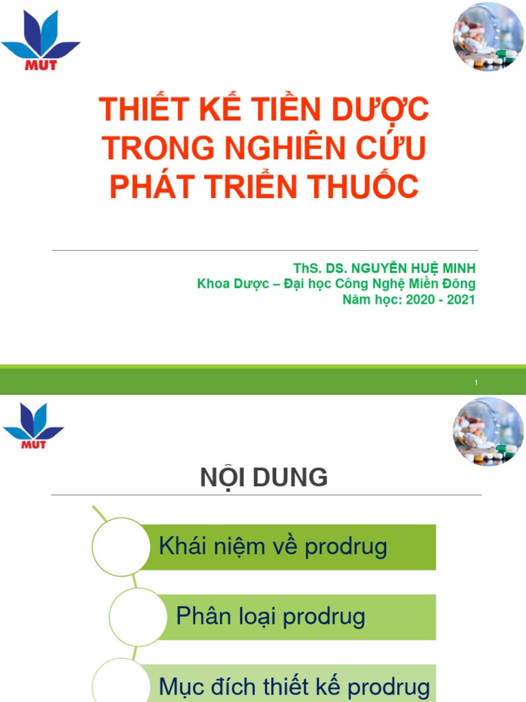 Pro Drug | PDF