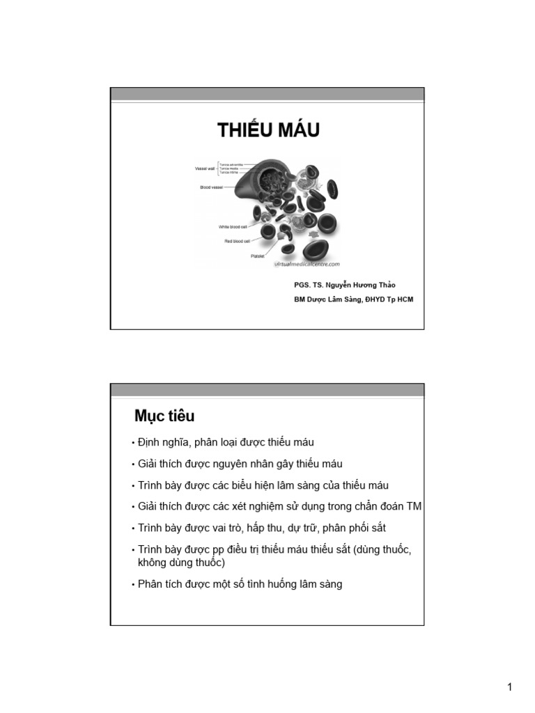 DLS2 - Co Thao Thiếu Máu | PDF