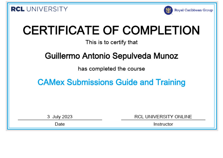 Camex Training Completion Certificate Pdf