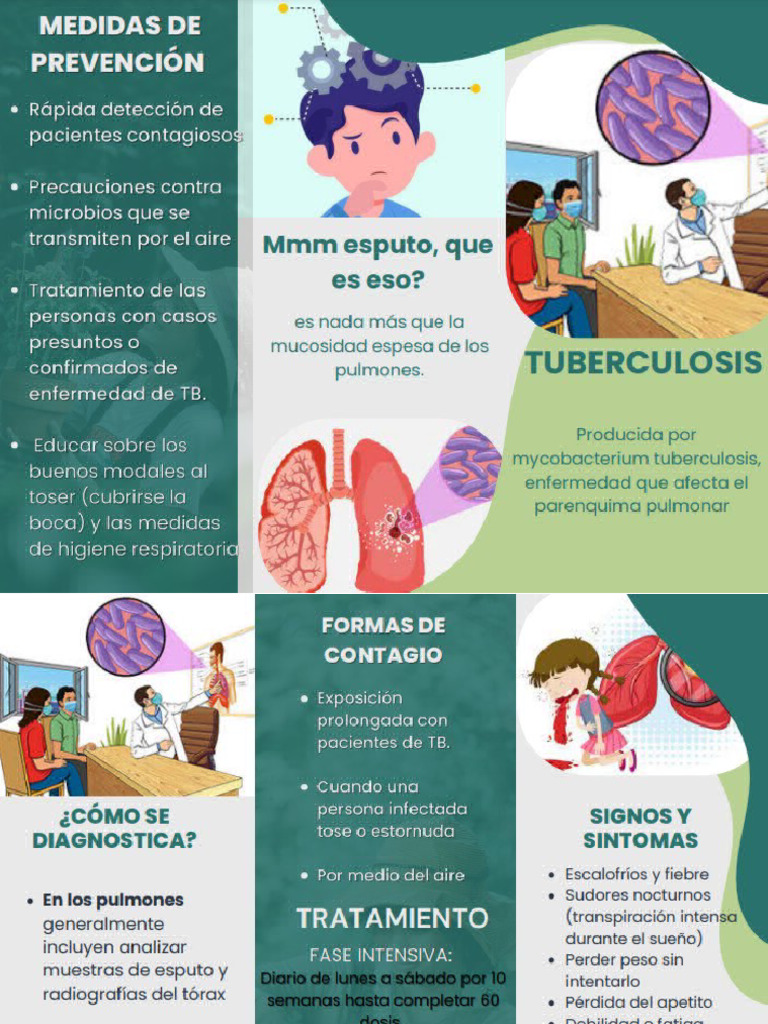 Salud Triptico | PDF